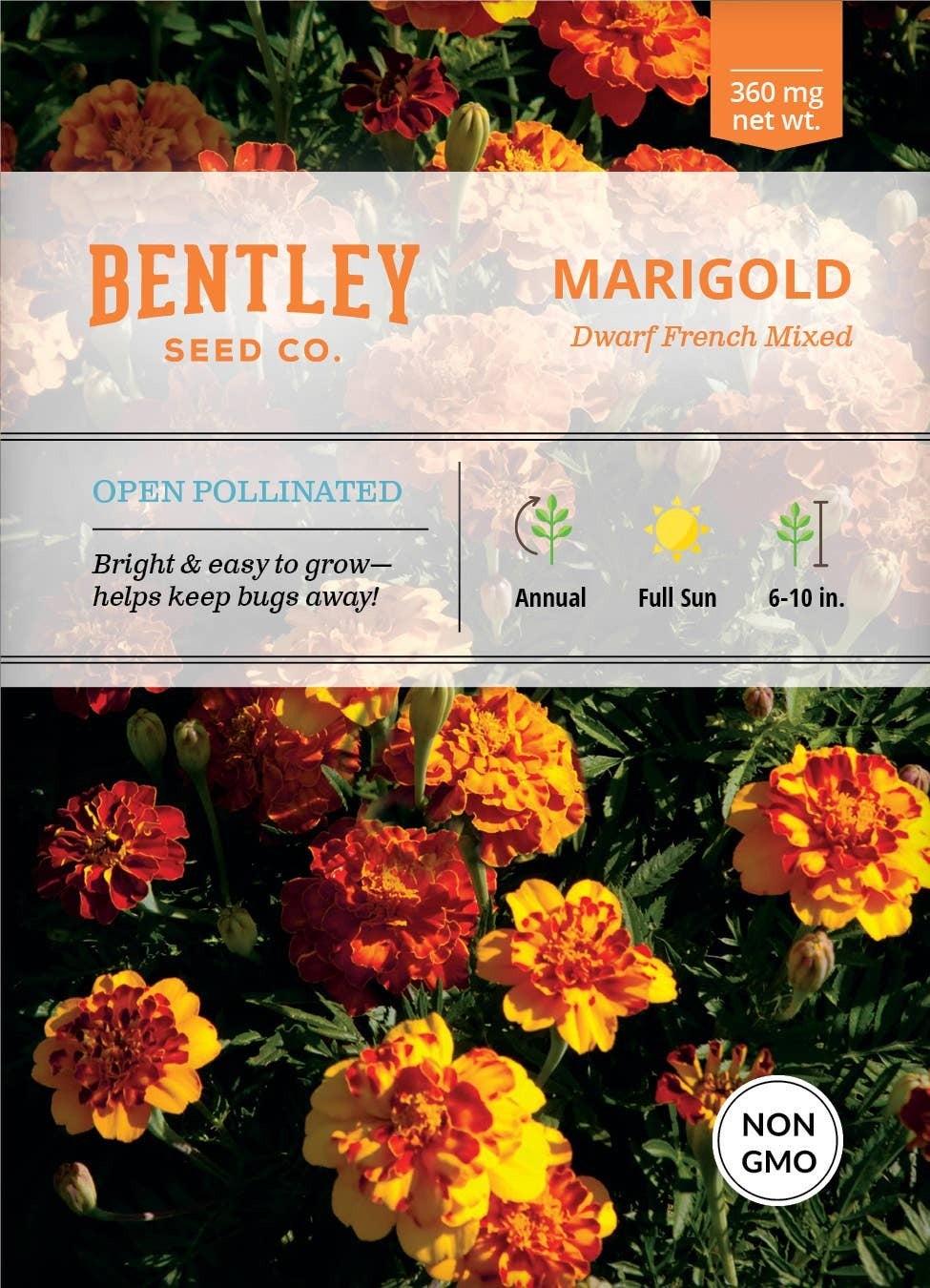 Marigold-Dwarf French Seed Packets | Glen Rock Markets LLC
